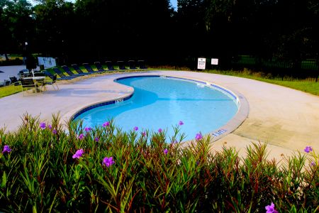 Golf Course Photo Gallery - Charleston area Golf Course